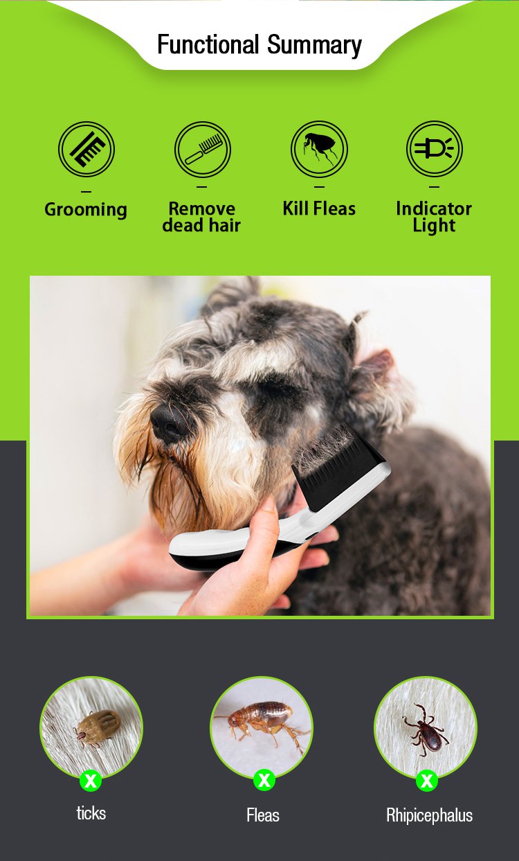 AOSION® Portable Electric Flea Comb AN-A801